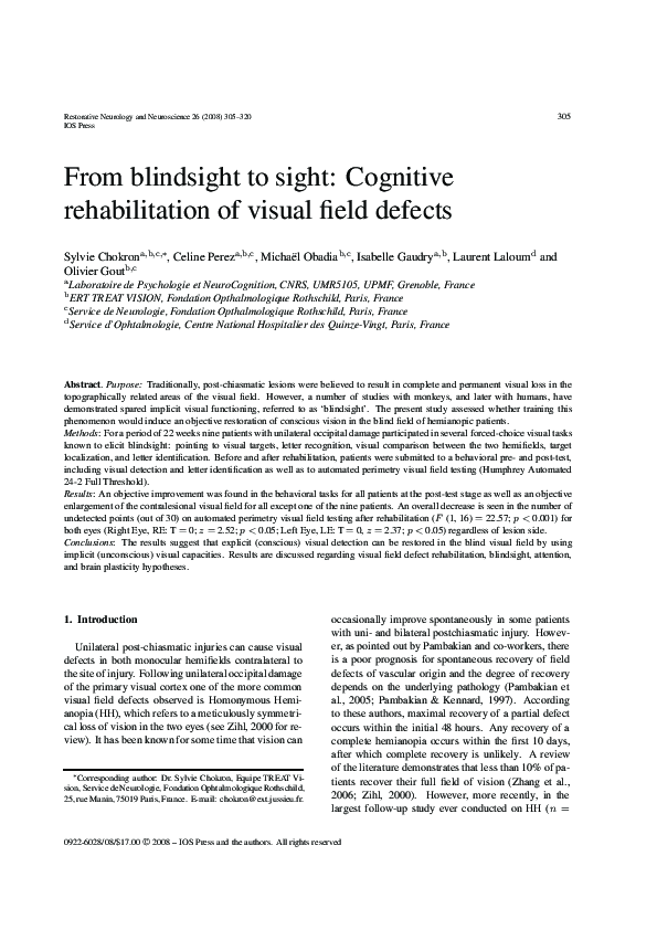 (PDF) From blindsight to sight: cognitive rehabilitation of visual ...