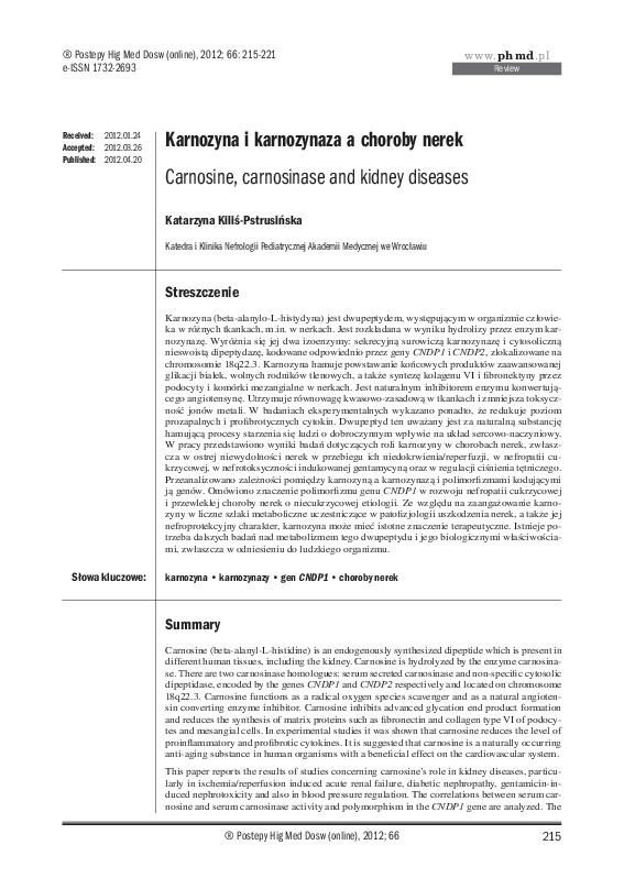 (PDF) Carnosine, carnosinase and kidney diseases
