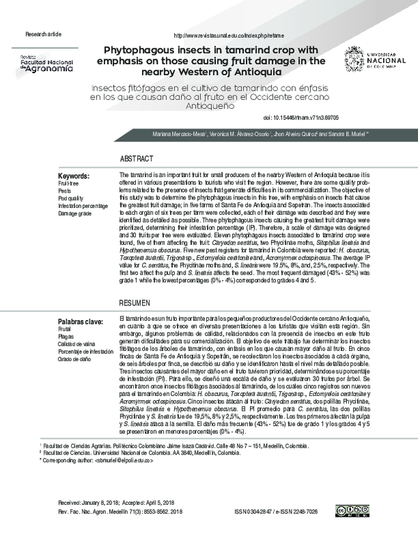 (PDF) Phytophagous insects in tamarind crop with emphasis on those ...