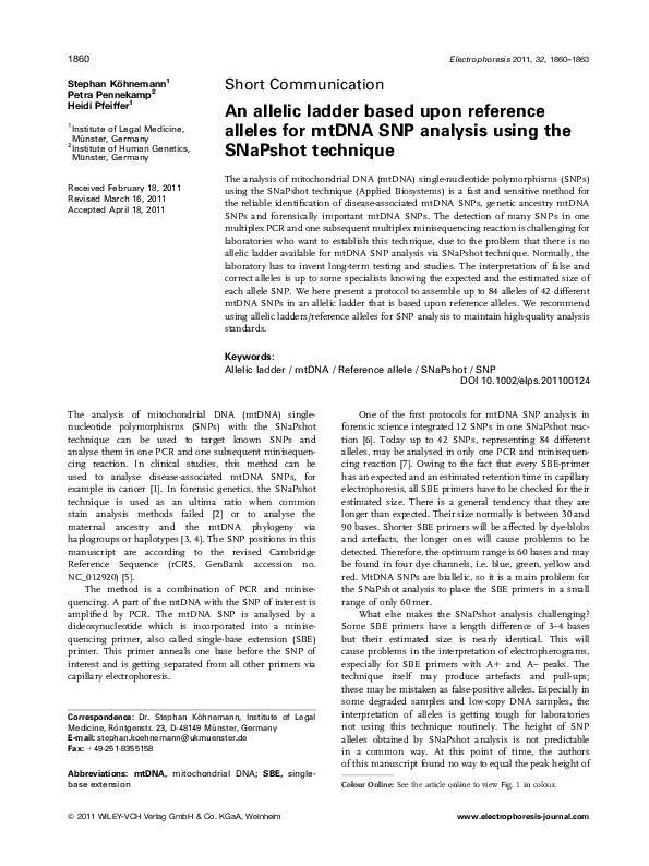 (PDF) An allelic ladder based upon reference alleles for mtDNA SNP ...