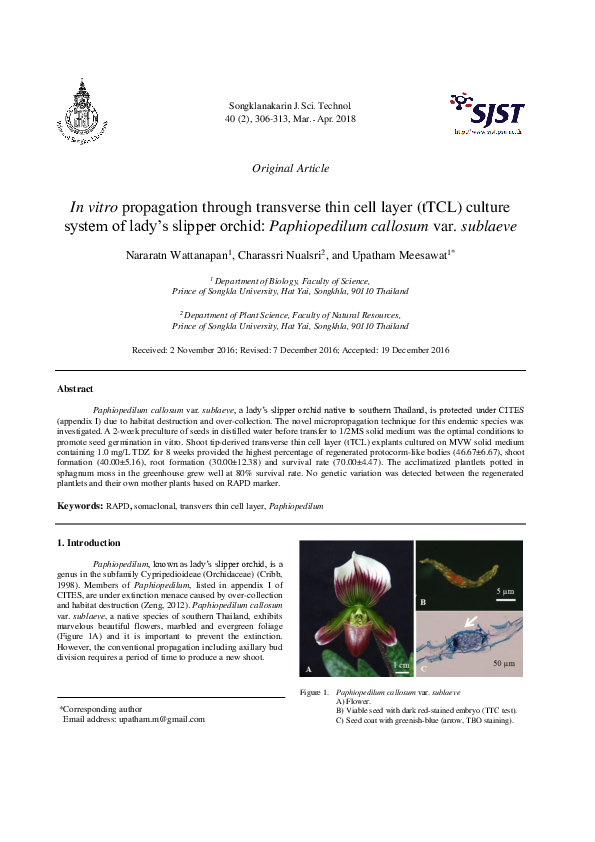 (PDF) In vitro propagation through transverse thin cell layer (tTCL ...