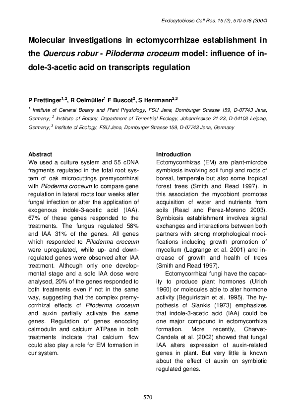 (PDF) Molecular investigations in ectomycorrhizae establishment in the ...
