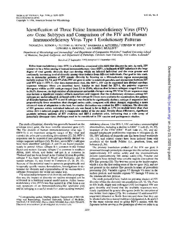 (PDF) Identification of three feline immunodeficiency virus (FIV) env ...