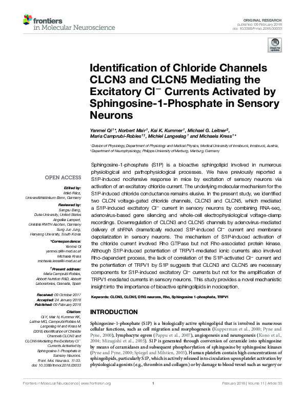 (PDF) Identification of Chloride Channels CLCN3 and CLCN5 Mediating the ...