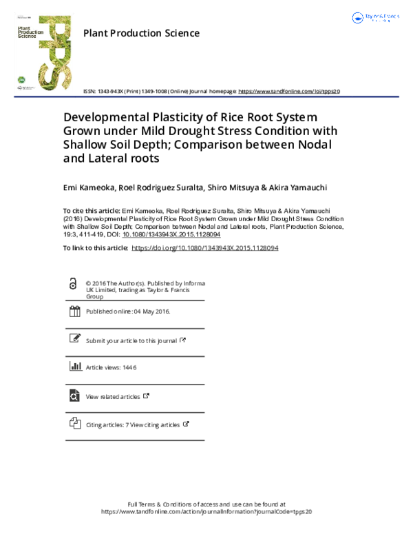 (PDF) Developmental Plasticity of Rice Root System Grown under Mild ...