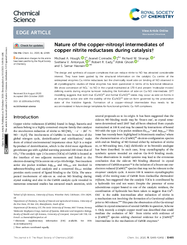 (PDF) Nature of the copper-nitrosyl intermediates of copper nitrite ...