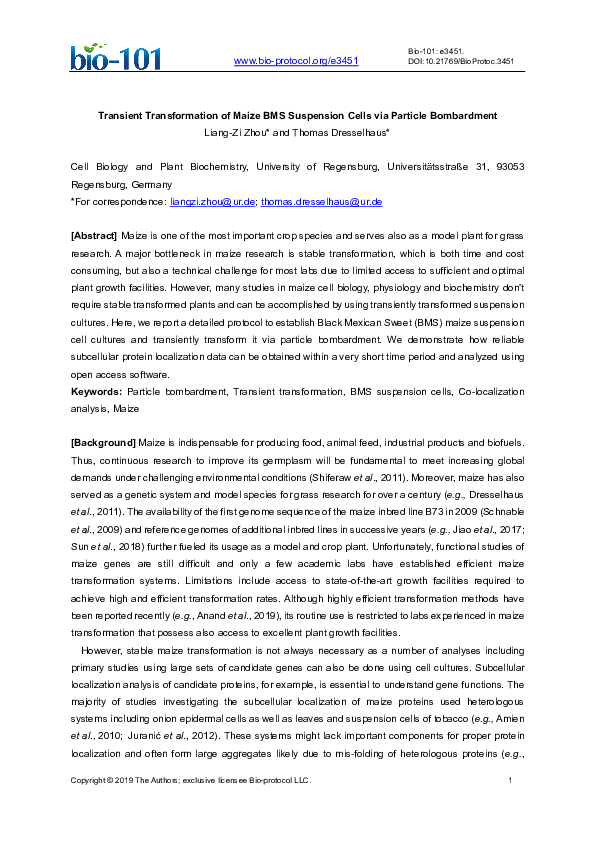 (PDF) Transient Transformation of Maize BMS Suspension Cells via ...