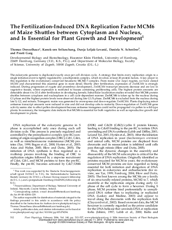 (PDF) The Fertilization-Induced DNA Replication Factor MCM6 of Maize ...