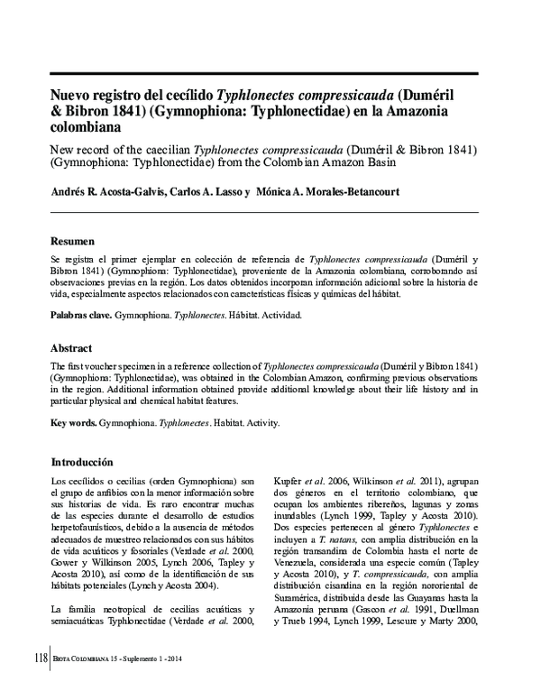 (PDF) New record of the caecilian Typhlonectes compressicauda (Duméril ...