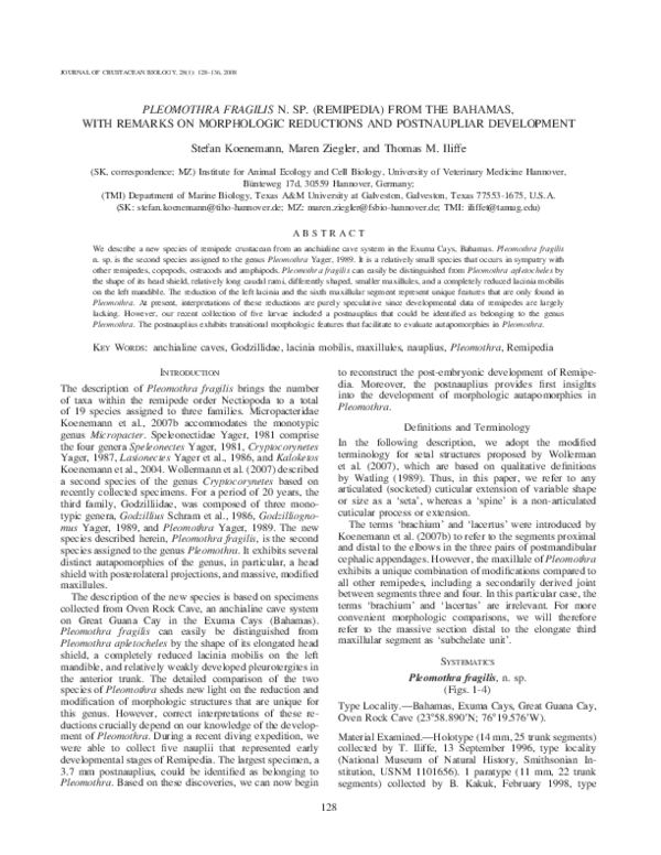 (PDF) Journal of Crustacean Biology, 28(1): 128–136, 2008 Pleomothra ...
