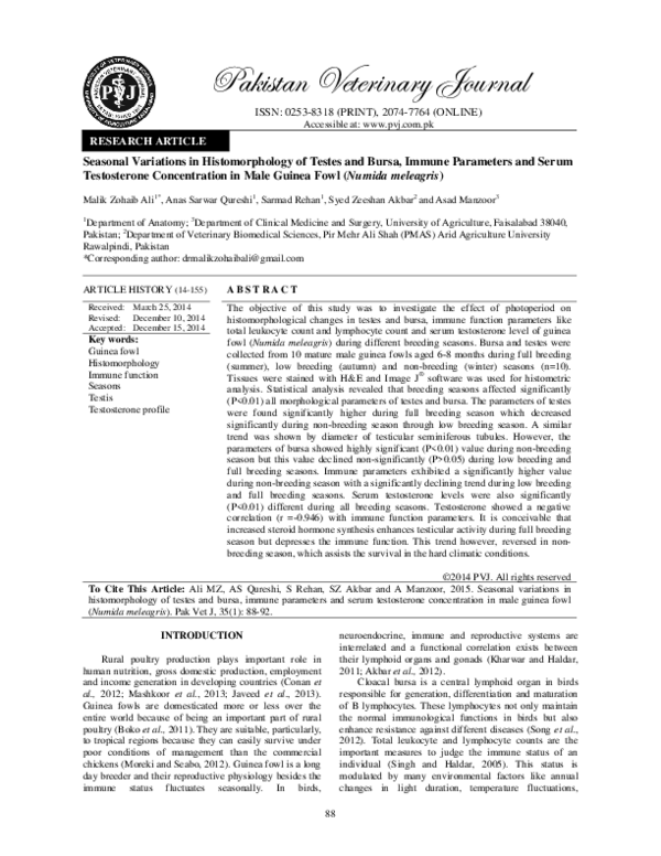 (PDF) Seasonal variations in histomorphology of testes and bursa ...