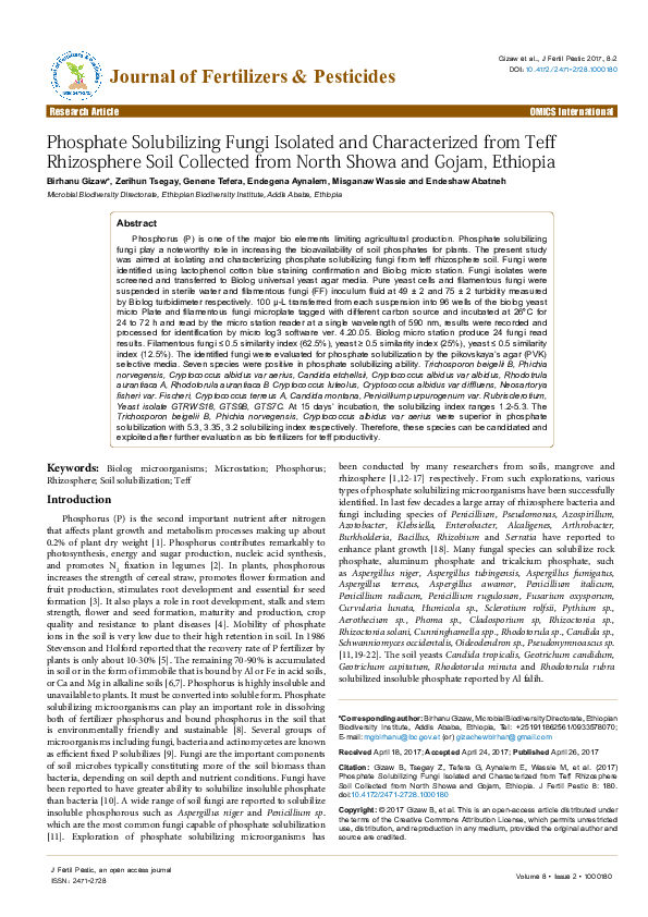 (PDF) Phosphate Solubilizing Fungi Isolated and Characterized from Teff ...