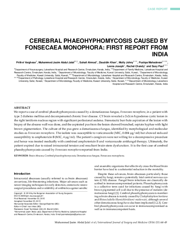 (PDF) Cerebral Phaeohyphomycosis caused by Fonsecaea monophora: First ...