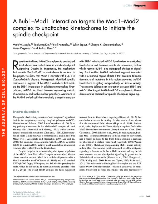 (PDF) Bub1-Mad1 Interaction and Spindle Checkpoint
