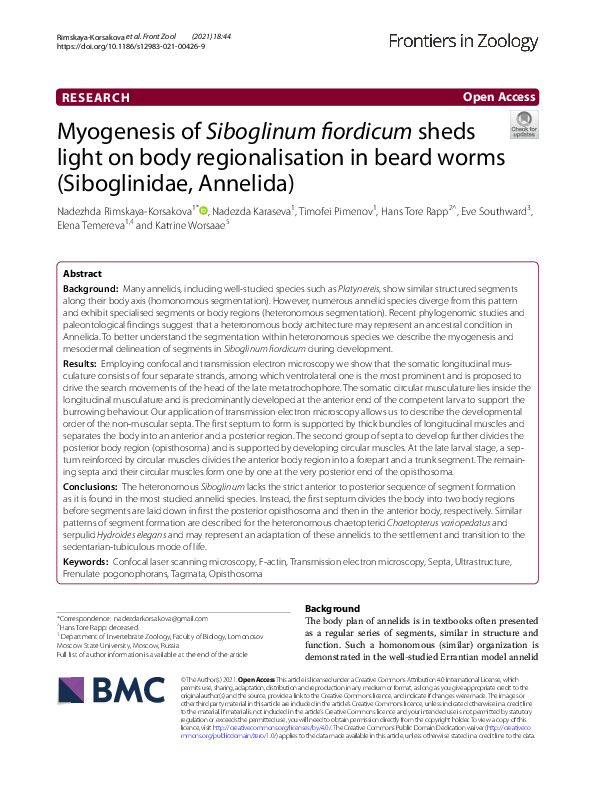 (PDF) Myogenesis of Siboglinum fiordicum sheds light on body ...