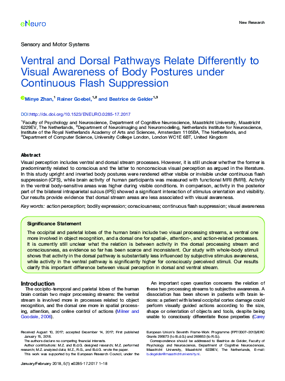 (PDF) Ventral and Dorsal Pathways Relate Differently to Visual Awareness of Body Postures under ...