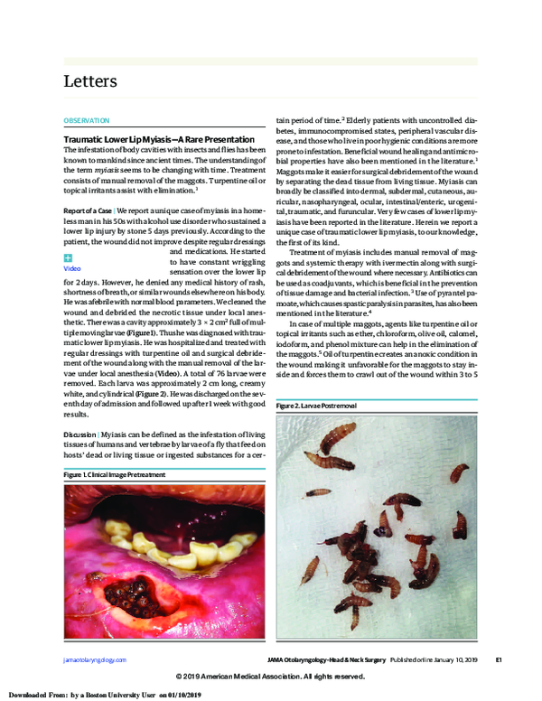 (PDF) Traumatic Lower Lip Myiasis-A Rare Presentation