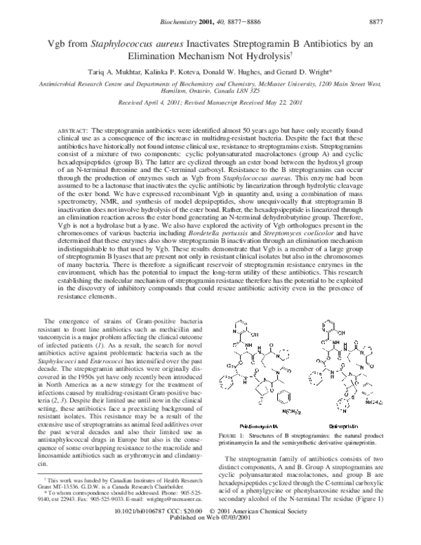 (PDF) Vgb from Staphylococcus aureus Inactivates Streptogramin B ...