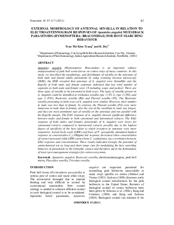 (PDF) EXTERNAL MORPHOLOGY OF ANTENNAL SENSILLA IN RELATION TO ...