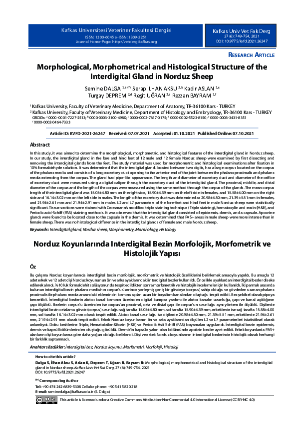 (PDF) Morphological, Morphometrical and Histological Structure of the ...