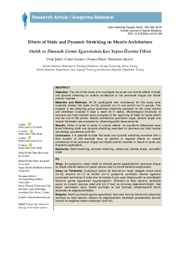 (PDF) Effects of Static and Dynamic Stretching on Muscle Architecture