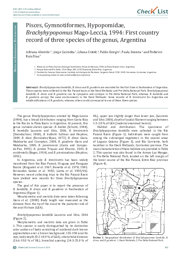 (PDF) Pisces, Gymnotiformes, Hypopomidae, Brachyhypopomus Mago-Leccia ...