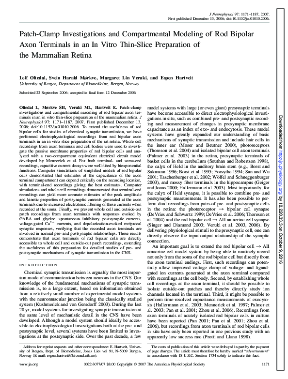 (PDF) Patch-clamp investigations and compartmental modeling of rod ...