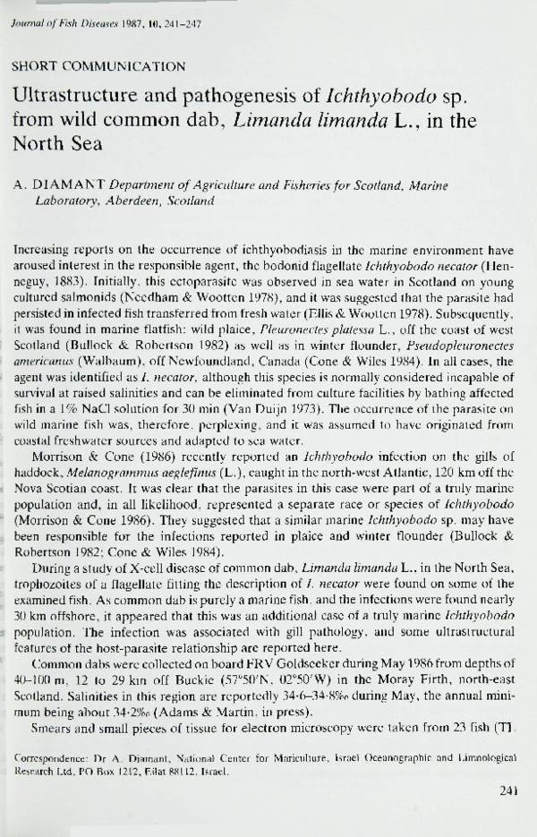 (PDF) Ultrastructure and pathogenesis of Ichthyobodo sp. from wild ...