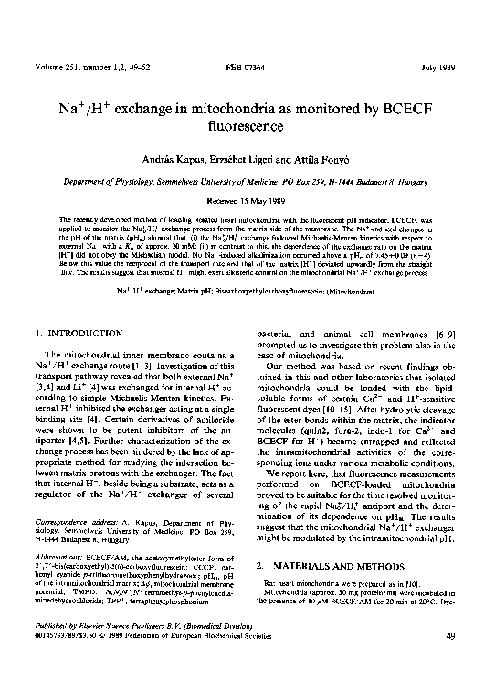(PDF) Na+/H+exchange in mitochondria as monitored by BCECF fluorescence