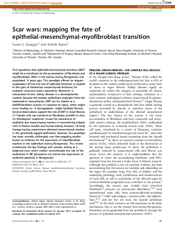 (PDF) Scar wars: mapping the fate of epithelial–mesenchymal ...