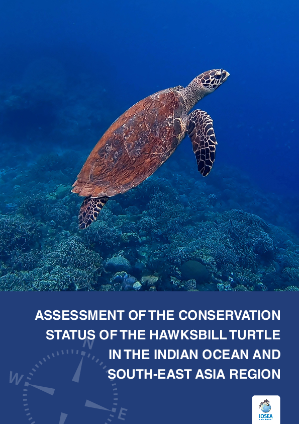 (PDF) Assessment of the Conservation Status of the Hawksbill Turtle in ...