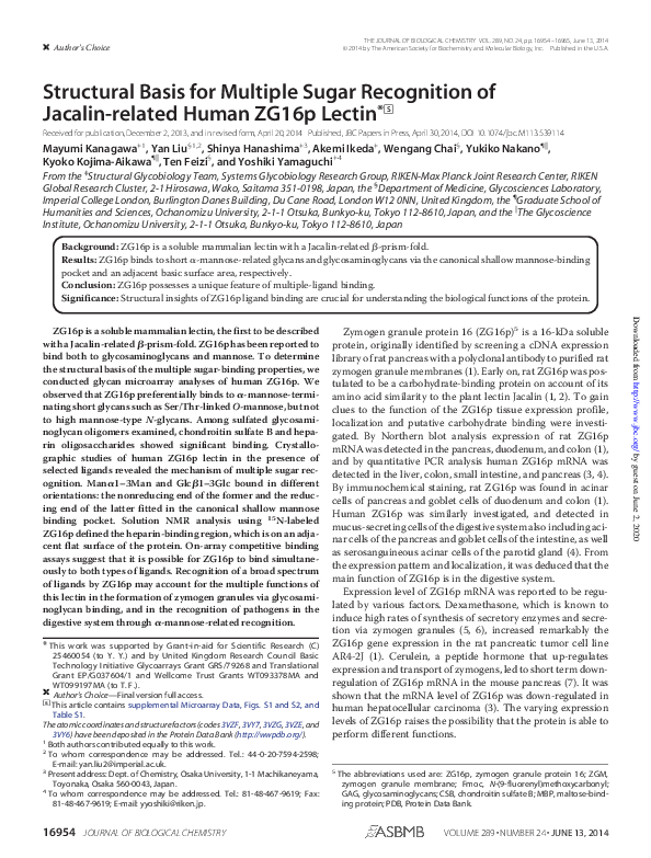 (PDF) Structural basis for multiple sugar recognition of Jacalin ...