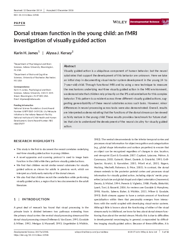 (PDF) Dorsal stream function in the young child: an fMRI investigation ...