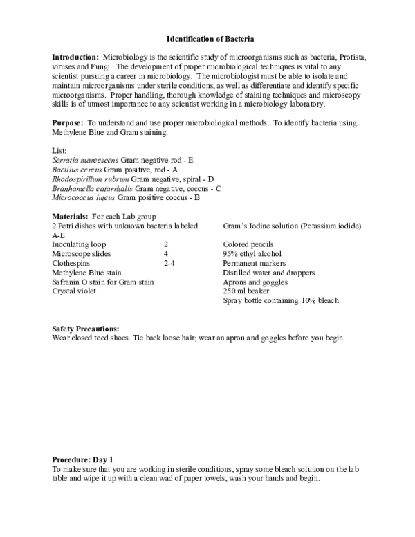 Lab Experiment: Bacteria Identification (gram-staining)