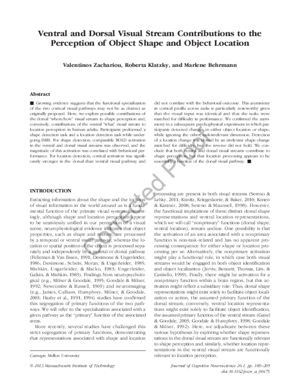 (PDF) Ventral and Dorsal Visual Stream Contributions to the Perception ...