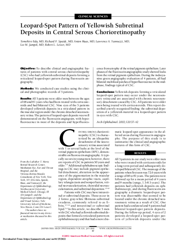 (PDF) Leopard-Spot Pattern of Yellowish Subretinal Deposits in Central ...