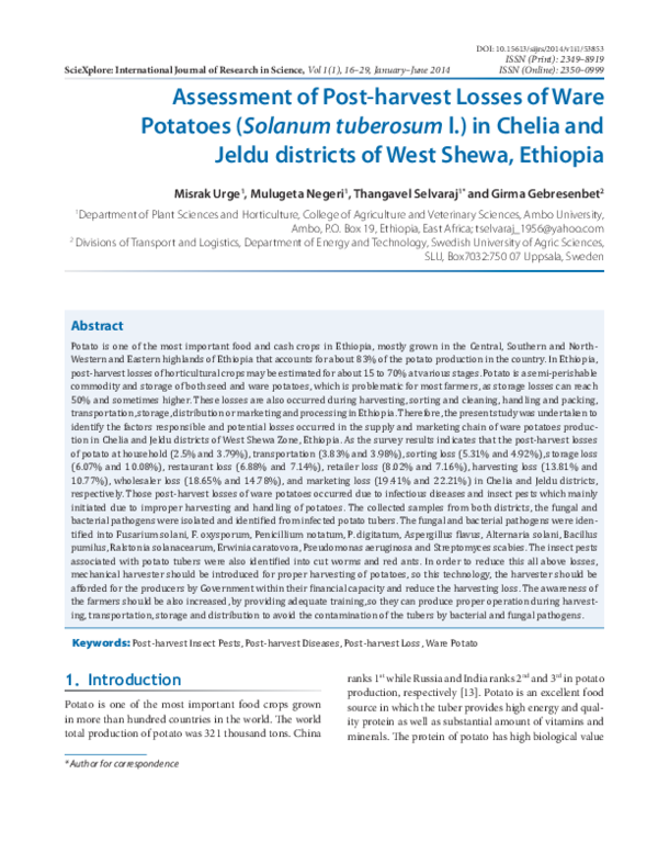 (PDF) Assessment of Post-harvest Losses of Ware Potatoes ( Solanum Tuberosum L.) in Chelia and ...
