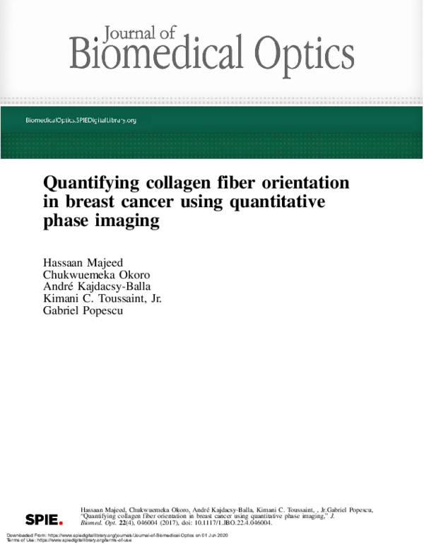 (PDF) Quantifying collagen fiber orientation in breast cancer using ...