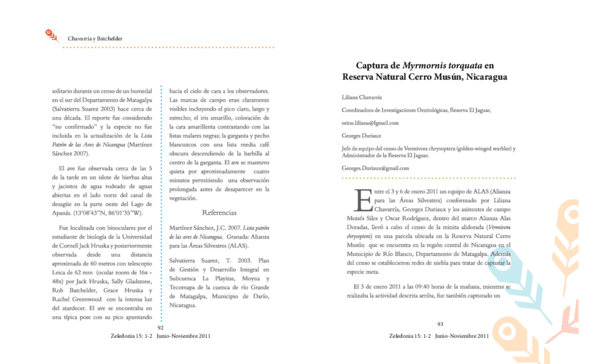 (PDF) Captura de Myrmornis torquata en Reserva Natural Cerro Musún ...