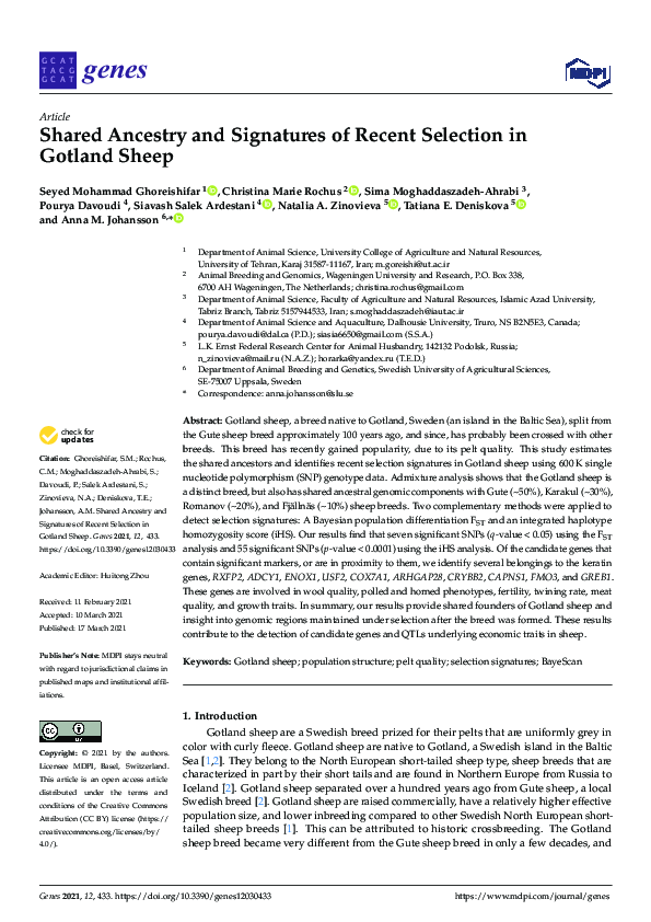 (PDF) Shared Ancestry and Signatures of Recent Selection in Gotland Sheep