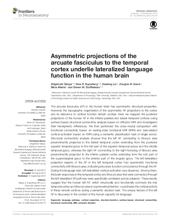 (PDF) Asymmetric projections of the arcuate fasciculus to the temporal ...