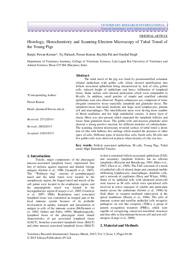 (PDF) Histology, Histochemistry and Scanning Electron Mic roscopy of ...