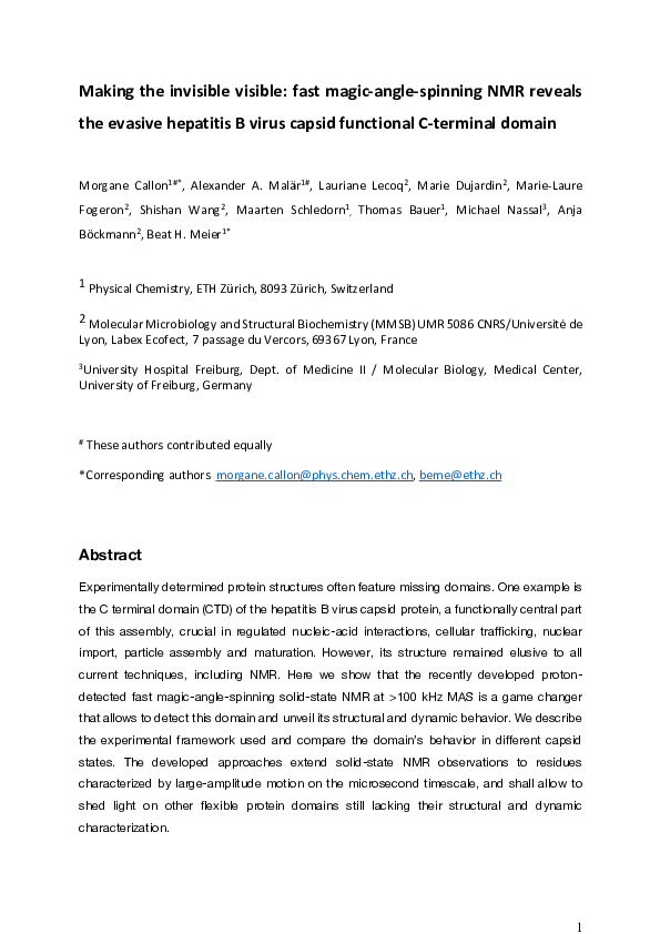 (PDF) Revealing Hepatitis B Virus Capsid CTD via Fast MAS NMR