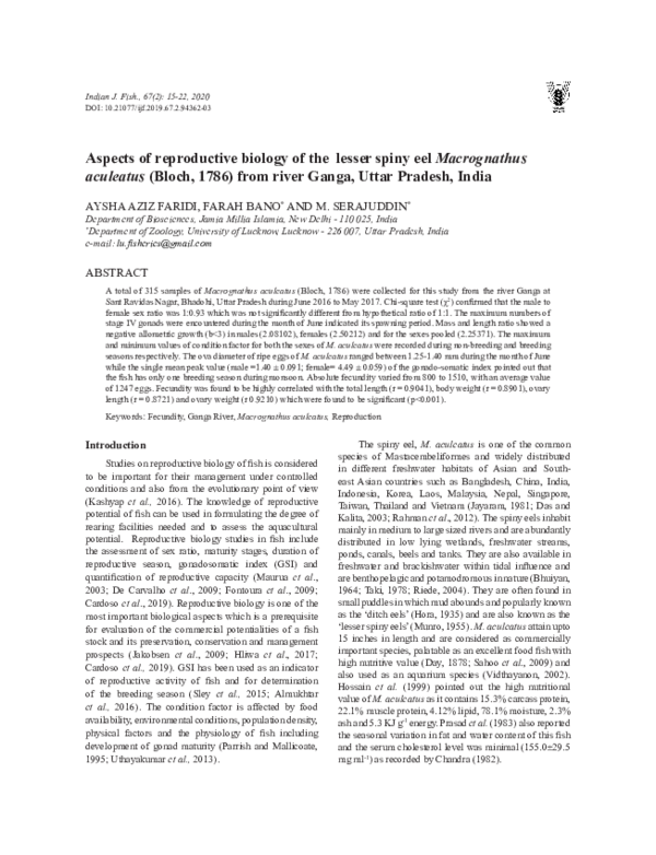 (PDF) Aspects of reproductive biology of the lesser spiny eel ...