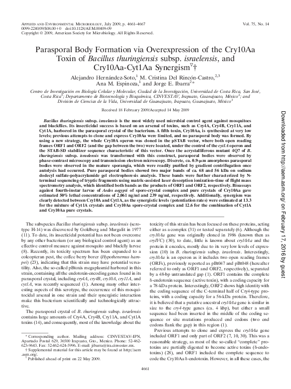 (PDF) Parasporal Body Formation via Overexpression of the Cry10Aa Toxin ...