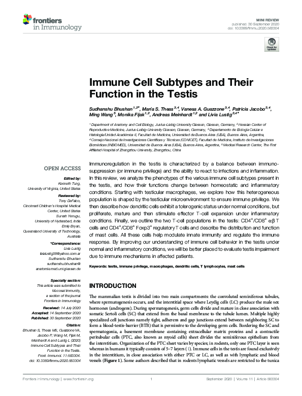 (PDF) Immune Cell Subtypes and Their Function in the Testis