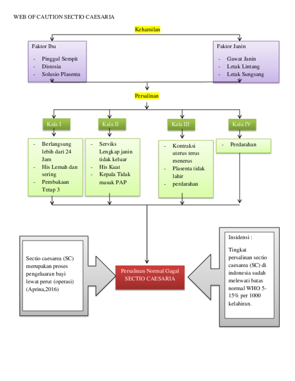 (PDF) WEB OF CAUTION SECTIO CAESARIA