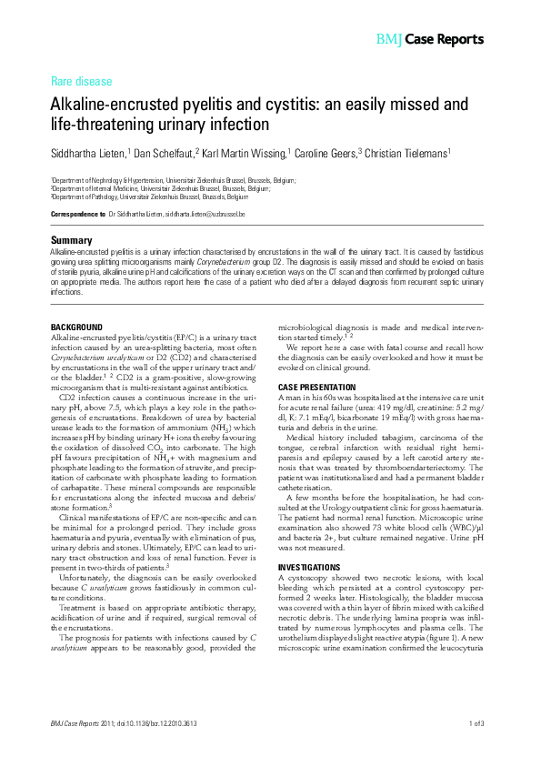 (PDF) Alkaline-encrusted pyelitis and cystitis: an easily missed and ...