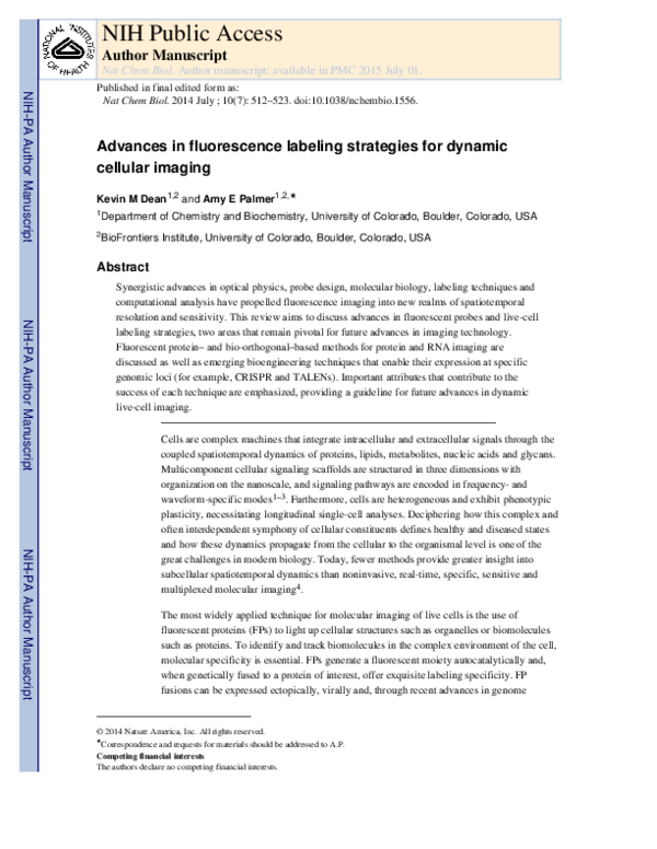 (PDF) Advances in fluorescence labeling strategies for dynamic cellular imaging