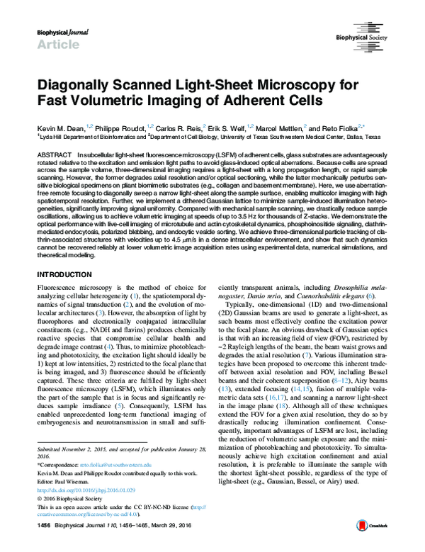 (PDF) Fast 3D Light-Sheet Imaging of Adherent Cells